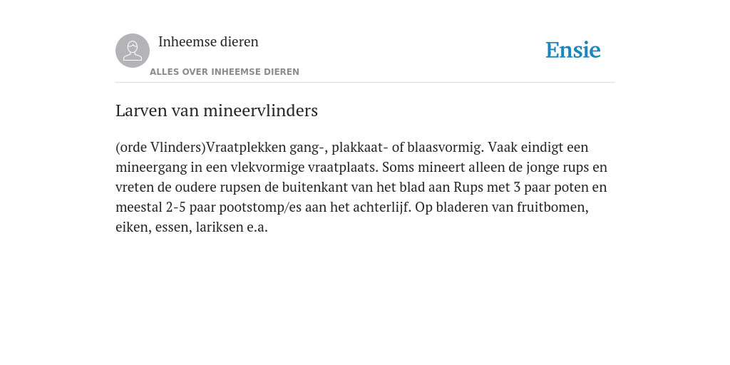 Larven van mineervlinders - de betekenis volgens Inheemse dieren Larven van mineervlinders - de betekenis volgens Inheemse dieren