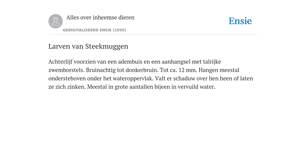 Larven van Steekmuggen - de betekenis volgens Inheemse dieren Larven van Steekmuggen - de betekenis volgens Inheemse dieren